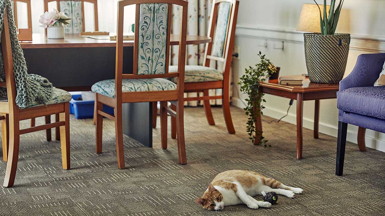 Uniting Irwin Hall Mayfield | Residential Aged Care