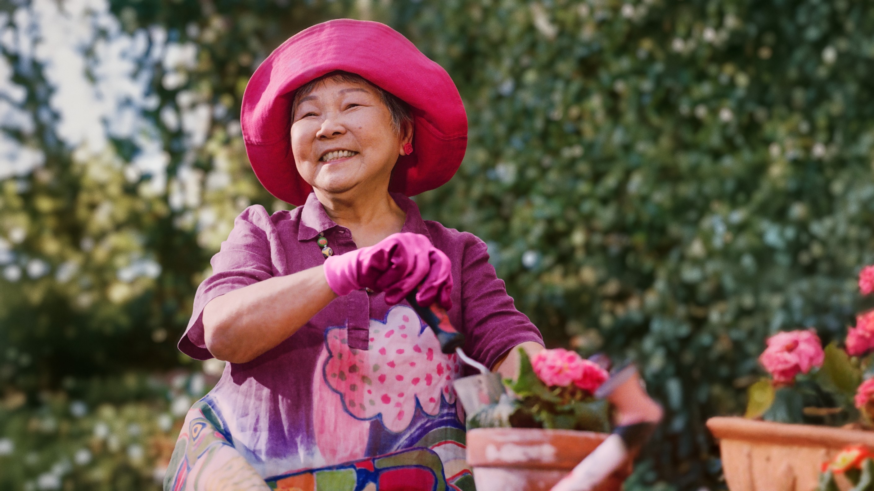 Home and community care | Aged care