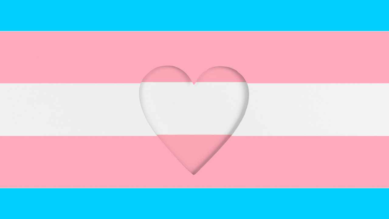 Statement of Solidarity: Standing alongside the trans and gender diverse