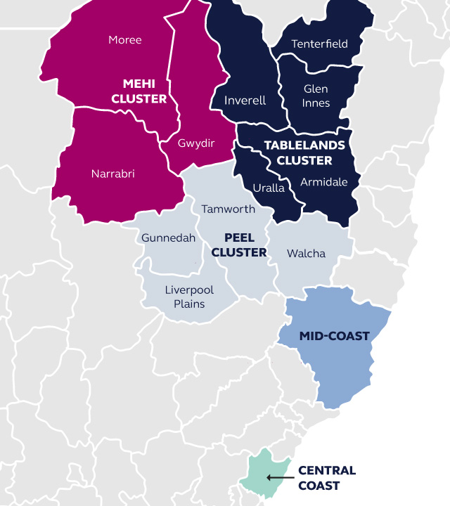 Wellbeing4Kids: Mehi Cluster